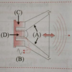 Maharashtra Board Class 8 Science Solutions Chapter 15 Sound PHD ...